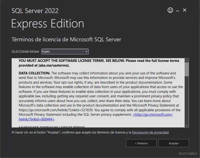 ¿Cómo Instalar SQL Server en Windows 11?